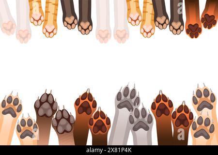Animal paws in a row fox wolf and dog vector illustration isolated on ...