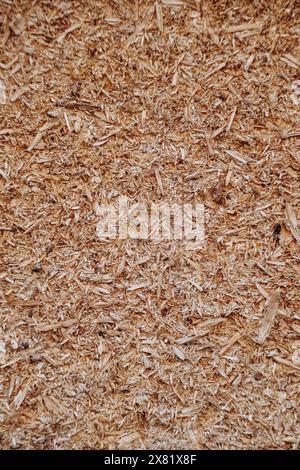 wood, abstract, splinter, chipboard, backdrop, background, plate, build ...