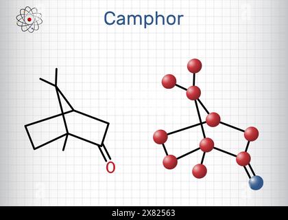 Camphor molecule. It is terpenoid and a cyclic ketone. Structural ...