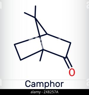 Camphor molecule. It is terpenoid and a cyclic ketone. Structural ...