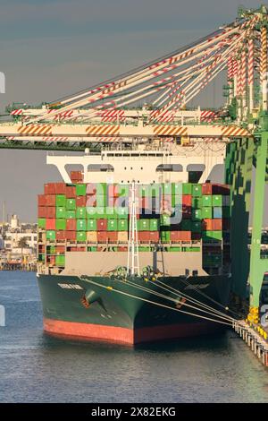 EVERGREEN brand of shipping container on semi trailer towed by haulage ...