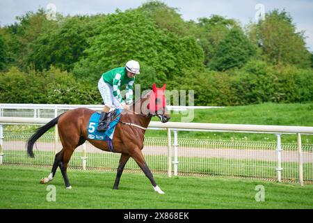 Jockey Shane Foley on Respectful Stock Photo - Alamy