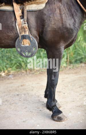 Traditional gaucho saddle with sheepskin Stock Photo - Alamy