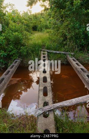 electric pole used for crossing a stream Stock Photo - Alamy