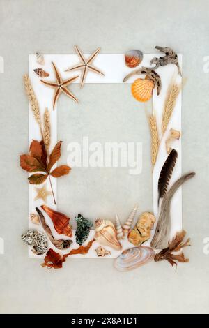 Natural assortment of nature objects with feathers, driftwood ...