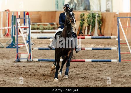 woman rider on blood bay horse in show jumping competition Stock Photo ...