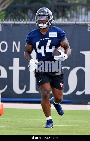 Houston Texans running back British Brooks (44) reacts during an NFL ...