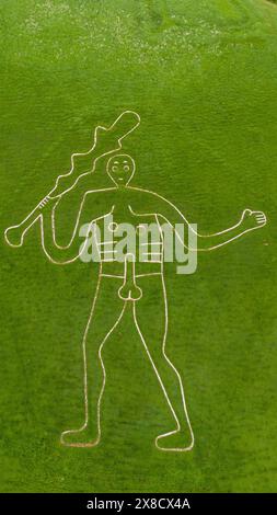 The large chalk figure of the Cerne Giant on Giant Hill at Cerne Abbas ...