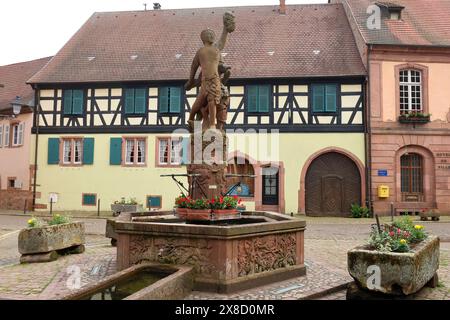 KIENTZHEIM, Alsazia, Alsace, ROUTE DES VINS, Francia, Cantina, Domaine ...
