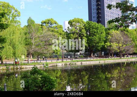 stroll by the lake (Shinobazu pond) in Japan, Ueno, Taito, Tokyo Stock ...