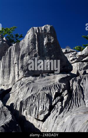 A limestone pavement in the calcareous rock of a karst Stock Photo - Alamy