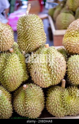 Large spiky durian fruits on a store counter in Asia. Thai fruit market ...