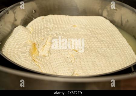 Maturation of Italian mozzarella cheese. Close-up. High quality photo ...