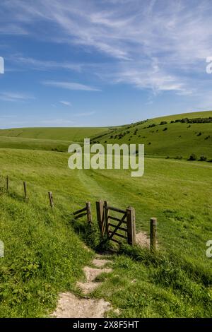 A pathway leading to Mount Caburn near Lewes, with a blue sky overhead ...