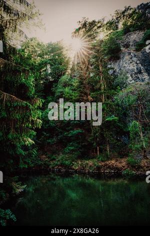 river, lake, sun, green, saale, saaletal, water, canoe, kayak, forest ...