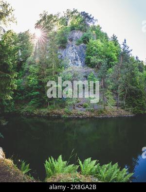 river, lake, sun, green, saale, saaletal, water, canoe, kayak, forest ...