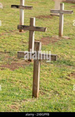 Serene Wooden Crosses in a Historic Cemetery Stock Photo - Alamy