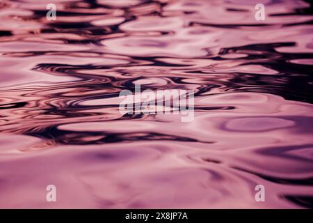 A image of violet ocean waves featuring a water surface in detail Stock ...