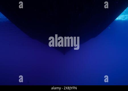 Diver From Underneath Stock Photo - Alamy