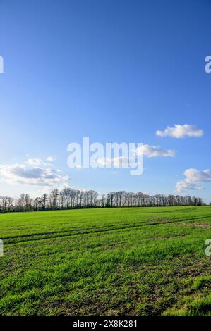 Chart Sutton, Kent, GB, United Kingdom, England, N 51 12' 25'', N 0 34 ...