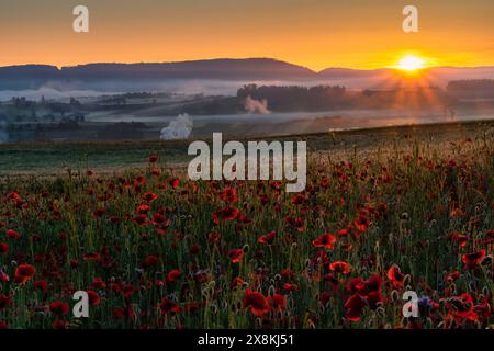 Switzerland, Baselland, Laufental, Laufen, Stedtli, Laufen BL ...