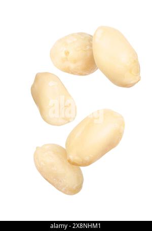 Many peanuts in air on white background Stock Photo - Alamy
