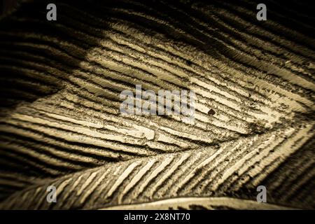 engraved metal plate leaf pattern background abstract Stock Photo - Alamy