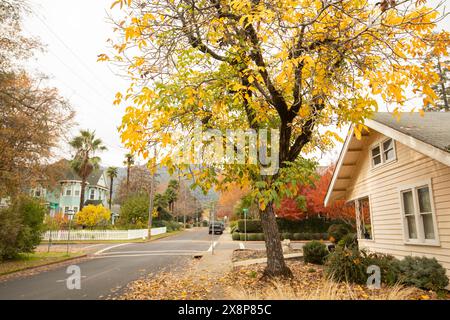 Ukiah, California, USA - November 18, 2021: Cloudy autumn light shines ...