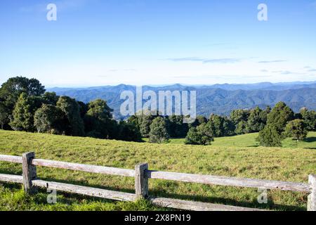Dorrigo mountain and Griffith lookout over Gondwana rainforest towards ...