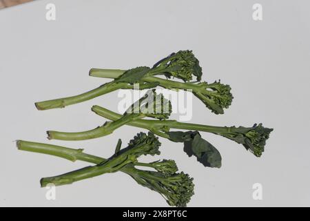 Bimi a new kind of vegetable also known as baby broccoli, asparagus ...
