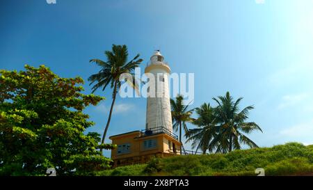 A lighthouse in the middle of a tropical jungle. Action. Green ...