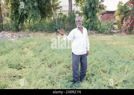 Indian chickpeas Farming , happy Indian poor farmer Stock Photo - Alamy