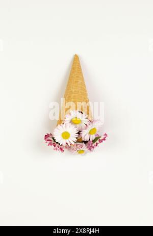 Waffle cone with flowers, ice cream balls and macaroons on blue ...