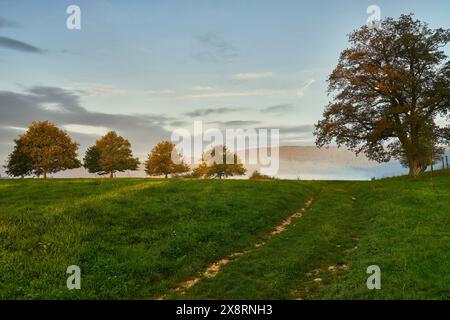 Nenzlingen, Nenzlingen BL, BL, Laufen valley in the canton of Baselland ...