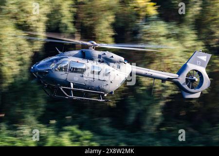 Military utility helicopters Airbus Helicopters H145M of the German Air ...