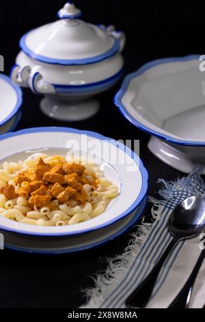 Traditional czech dish, chicken with paprika creamy sauce with pasta ...