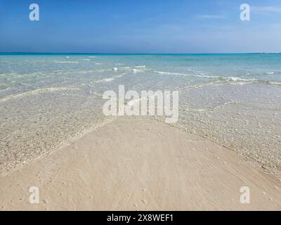 Sandbar and clear shallow water of Treasure Cay, Abaco, Bahamas on ...