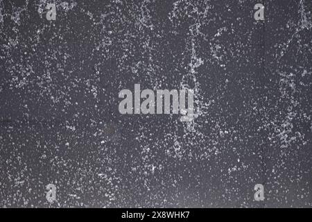 Pure liquid water is a diamagnetic material and is repelled by very ...