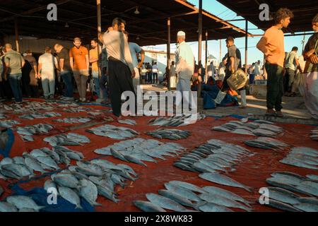 photo of Iraqi people shopping in traditional fish market in basra city ...
