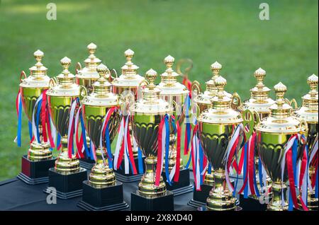 Group of trophy cups on table. Sports field Stock Photo - Alamy