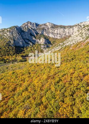 France, Drôme, Drôme Provençale, Saou, Saou forest integrated into the ...