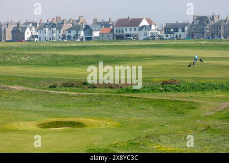 Elie golf club one of Fife's oldest and most picturesque links golf ...