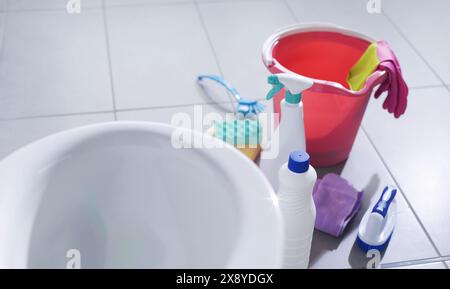 Clean shiny toilet and cleaning products on the floor, hygiene and ...