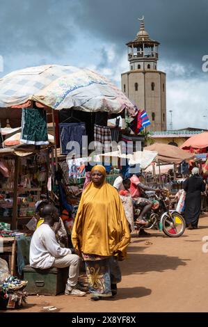 Cameroon, west area, Noun district, Foumban, the Royal Palace, specimen ...