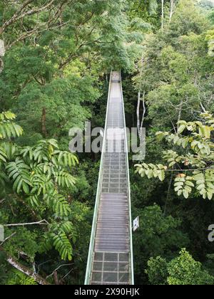 Tropical rainforest at the Rainforest Discovery Centre, Sabah, Malaysia ...
