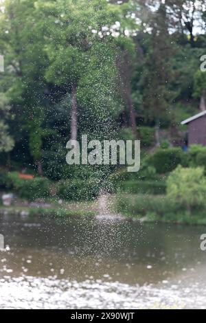 Midges and small insects in flight with warm sunny weather Cambridge ...