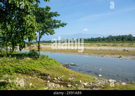 Murti is the name of a river flowing down from the Neora Valley ...