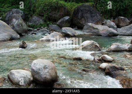 The Jaldhaka River, also known as Dichu, is a tributary of the ...