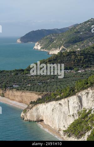 Gargano Promontory, cliffs on the shores of the Adriatic sea, Italy ...