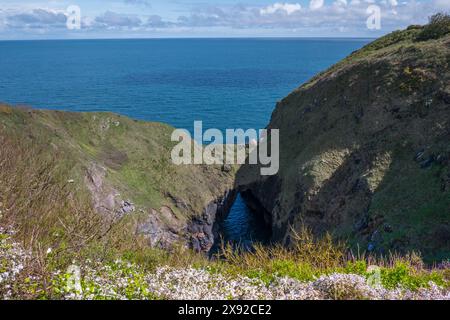 The Devil's Frying Pan a collapsed cave on the South West Coast Path on ...